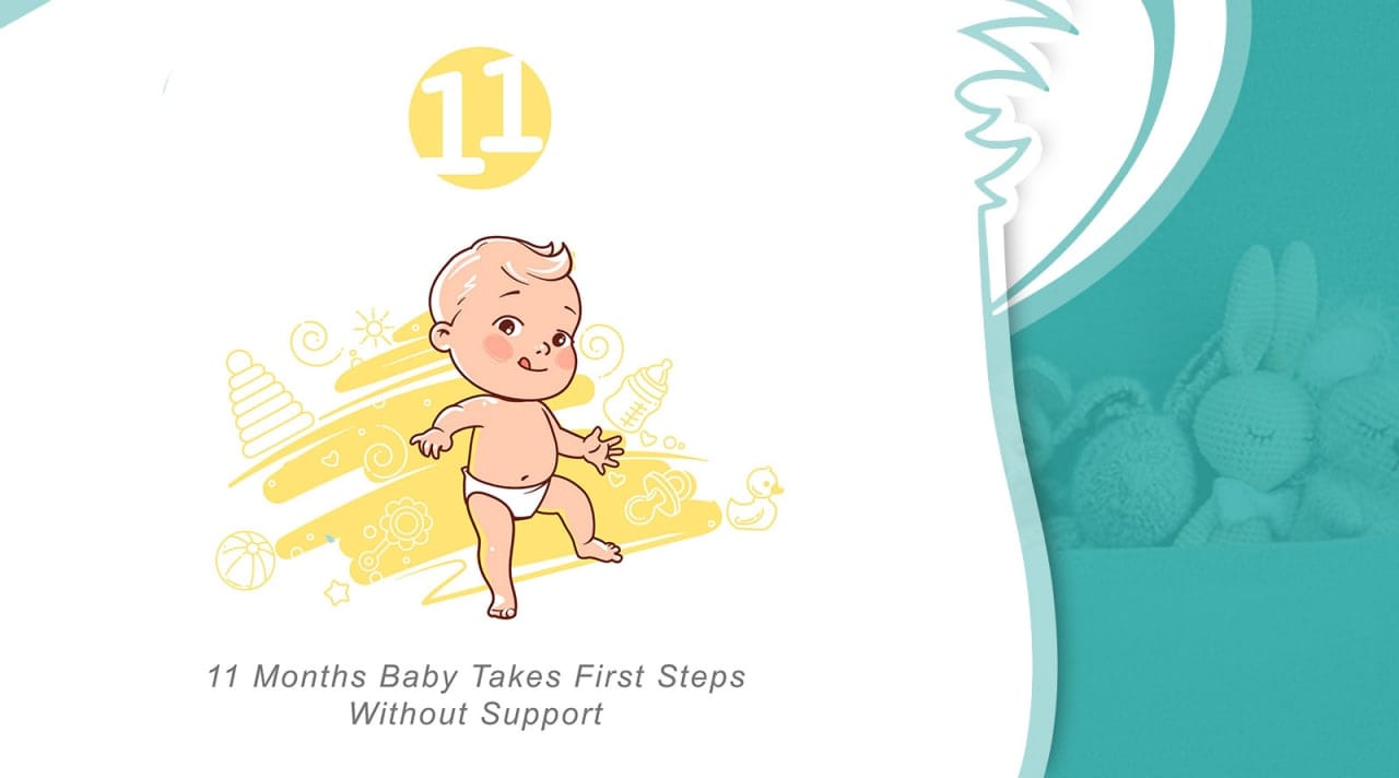 Your Eleven-Month-Old Baby's Growth - Bekoka